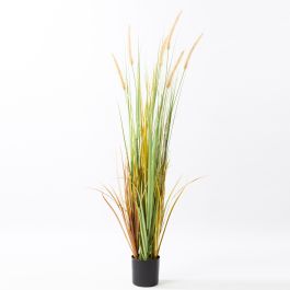Umělá tráva dochan LYONEL, zeleno-hnědá, 120cm - umělé trávy